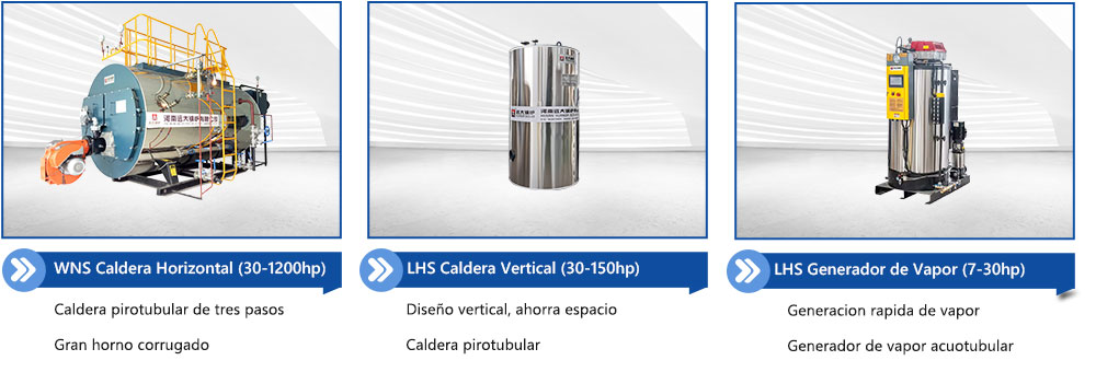 Caldera Generador Vapor 100hp 80hp 50hp 30hp 20hp 10hp Gas LP Diesel ...